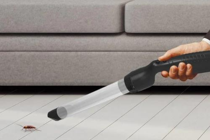 How to Catch Bugs in a Vacuum Bug Catcher?